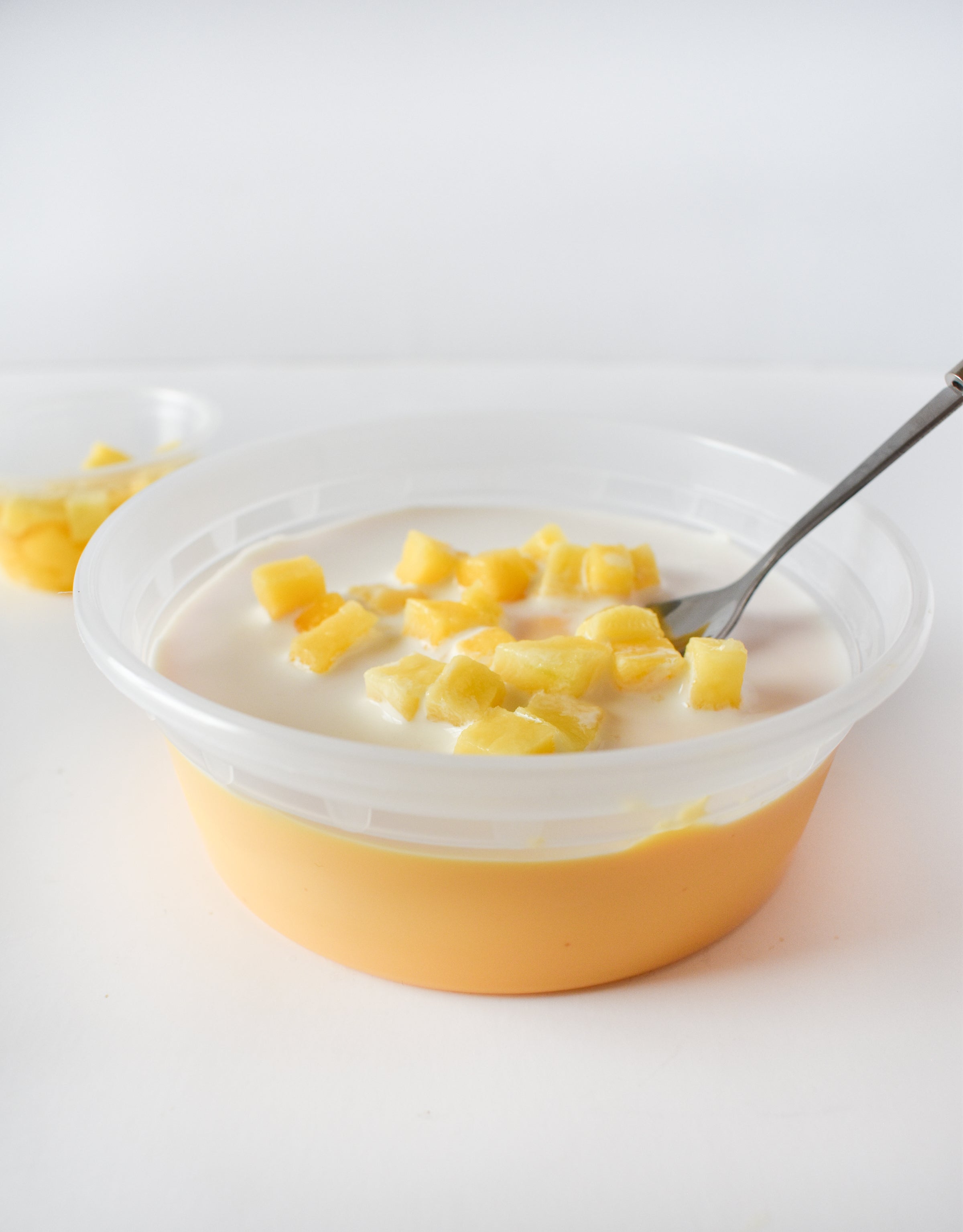 Mango Pudding (Pudding xoài) | The Dim Sum Co